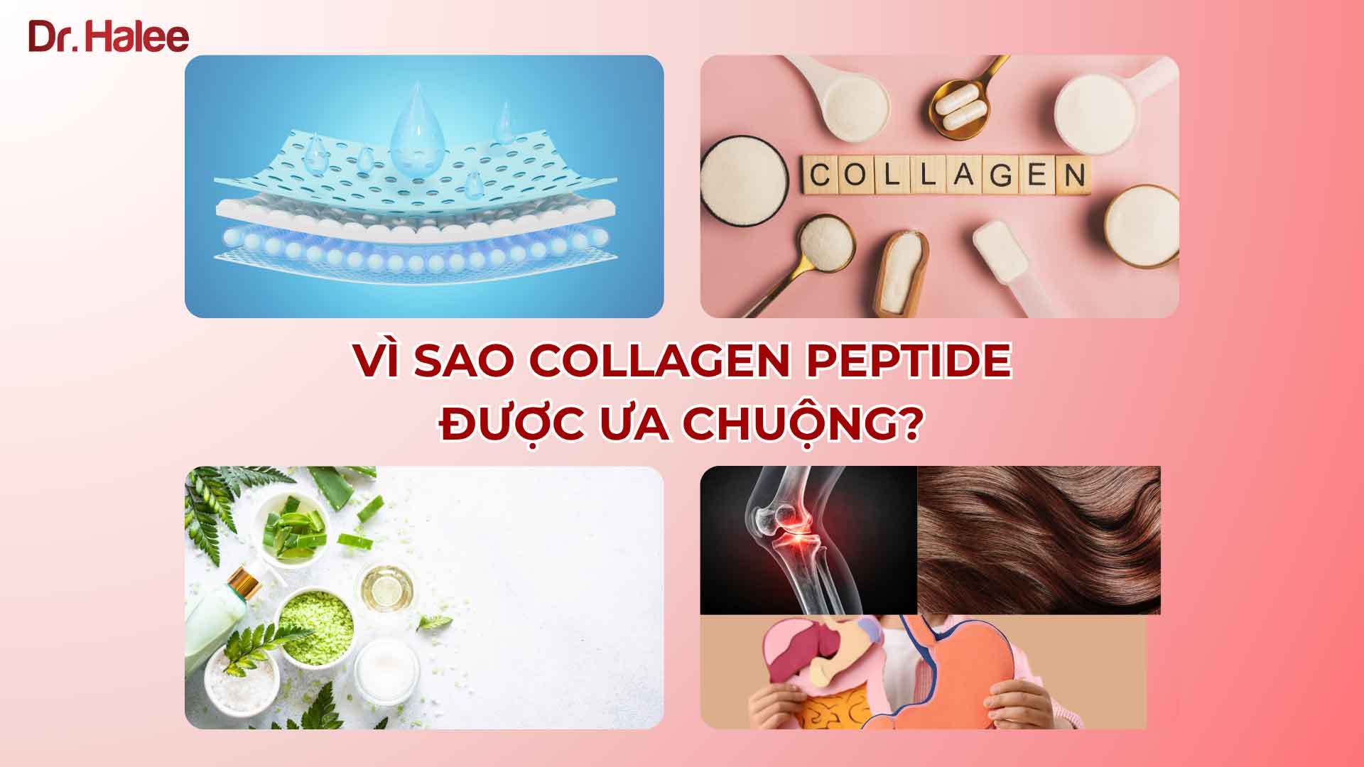 Collagen Peptide Là Gì? Vì Sao Được Ưa Chuộng Nhất Hiện Nay? - Dr.Halee
