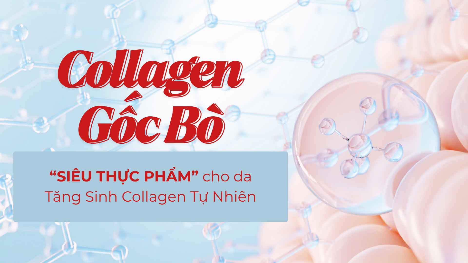 Collagen Gốc Bò: "Siêu Thực Phẩm" Tăng Sinh Collagen. - Dr.Halee